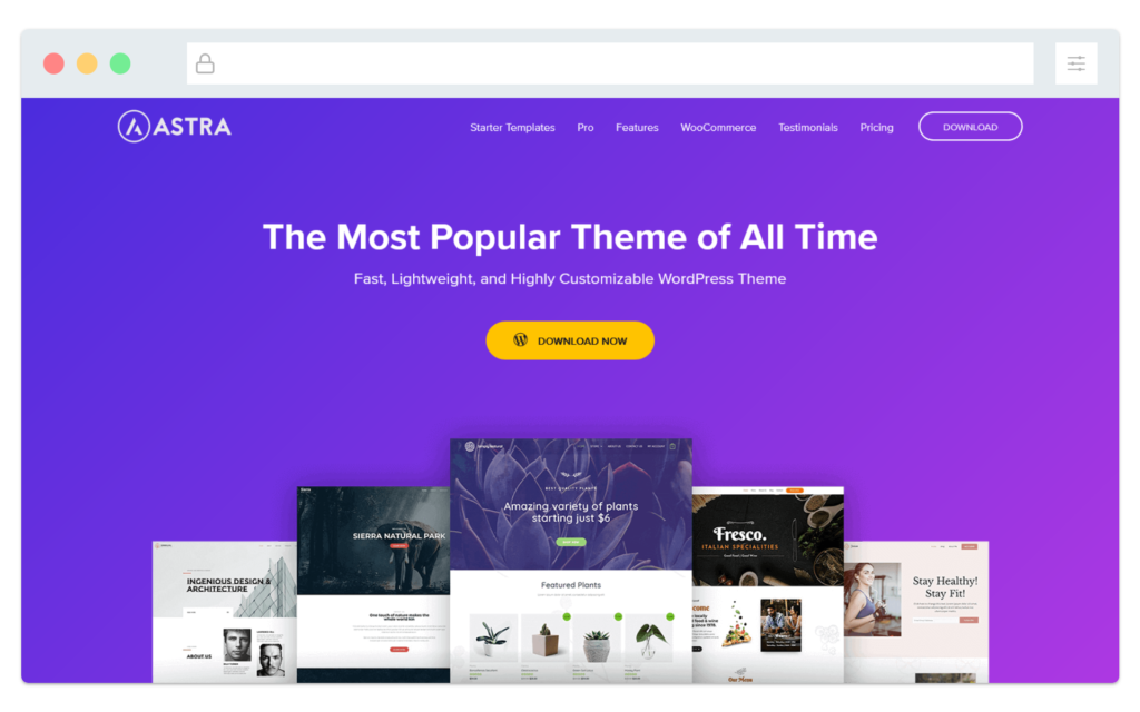 Elevate Your Website: Unveiling the Top 7 WordPress Themes - Cloudbase Blog